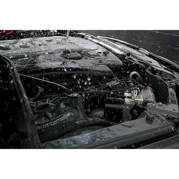 SONAX Engine cold cleaner (500 ml) – CarPowerGrid